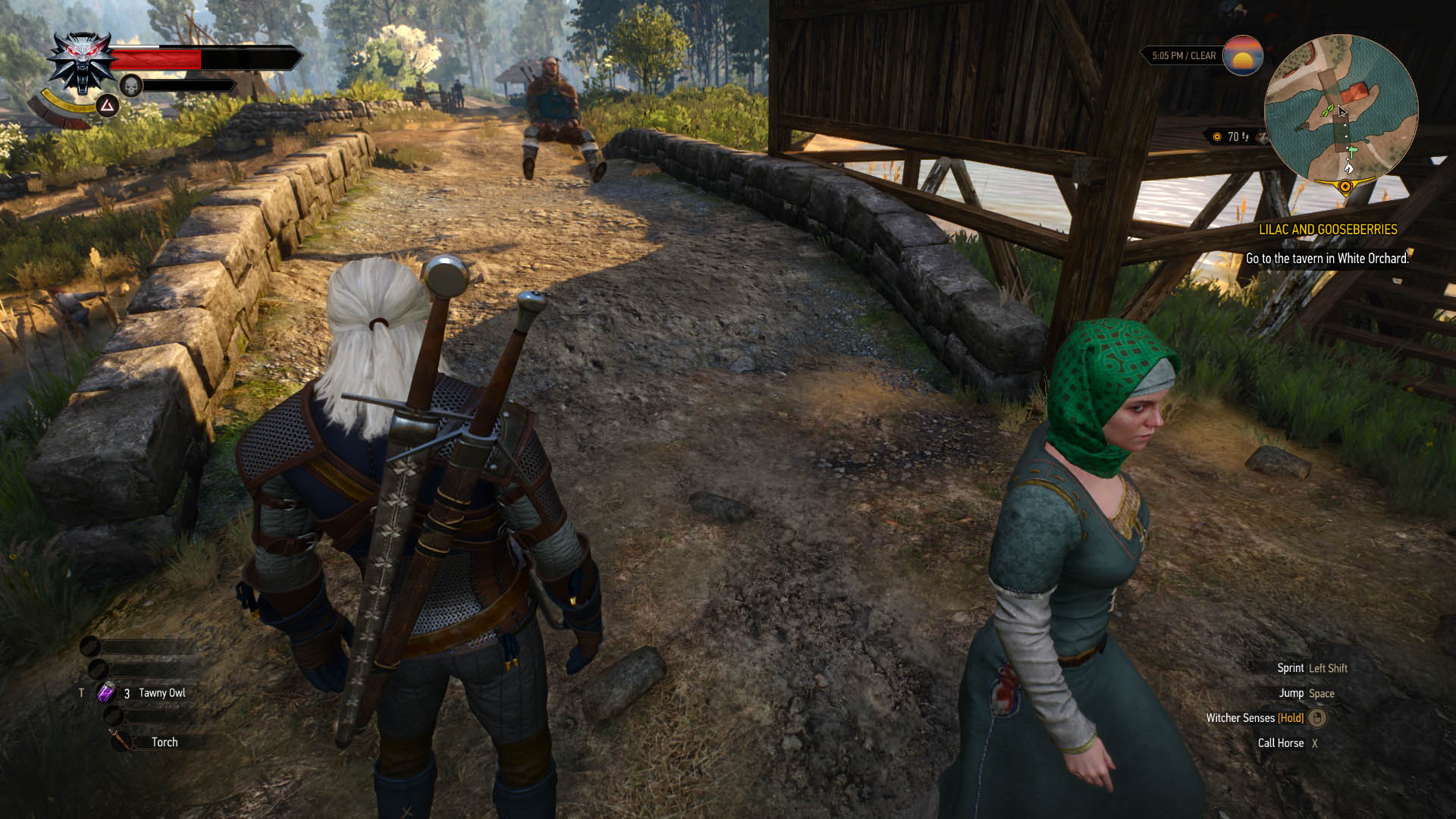 Vesimir flying mod? :: The Witcher 3: Wild Hunt General Discussions